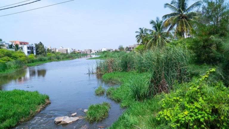 Résumé de Bulletin Hydrologique – Bassin du Fleuve Sénégal : 27 octobre ...